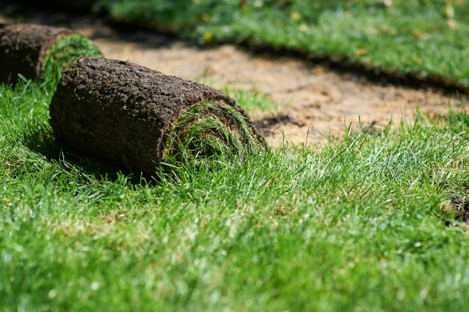 Sacramento Sod, Sod Installation & Hydroseed | Bell Sod & Hydroseed